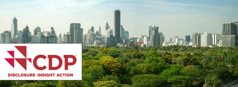 Altair Global Receives Management Level Score from CDP — Altair Global